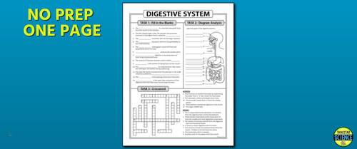 Digestive System Homework Review Worksheet / Test Prep | Print & Google ...