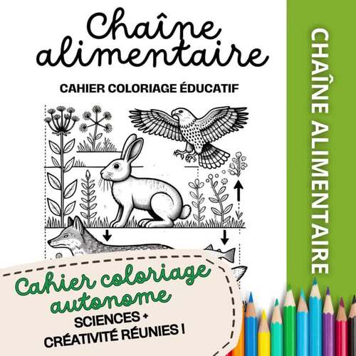 Food chain worksheet activity – Chaîne alimentaire | Cahier à colorier ...