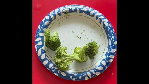 Healthy Food Assorted 9Pack Counting Placemat Bundle for Preschool ...