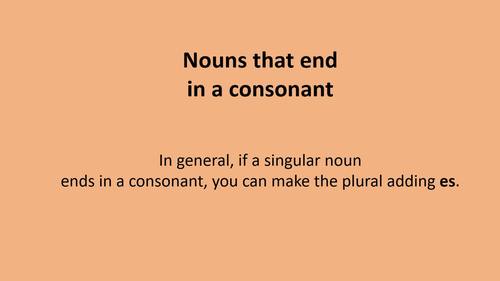 Spanish nouns ending in a consonant by Spanish for Everyday | TPT