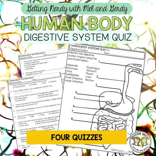 Digestive System | Human Body | Organ Structure & Function Quizzes ...