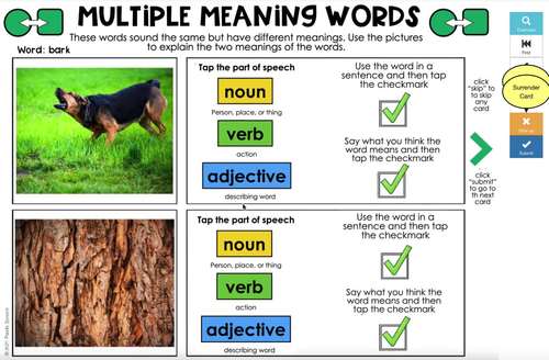 Multiple Meaning Words Print & Digital Real Photo Cards for Speech Therapy