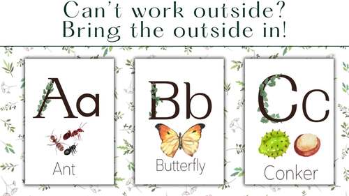 Forest School Animal Flash Cards, Alphabet, Vowels, Phonics 2 & 3 in ...