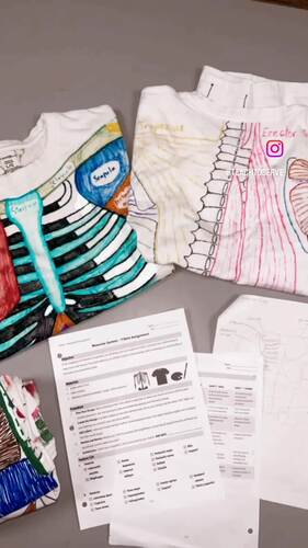 PSK4U Kinesiology Muscle T-Shirt Activity (Musculoskeletal System Project)