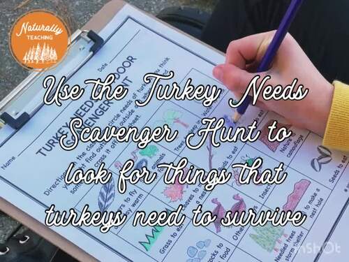Turkey Needs Outdoor Scavenger Hunt by Naturally Teaching | TPT