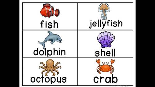 Ocean Theme Unit Activities by The Teaching Zoo | TpT