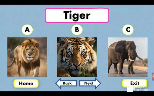 Animals Vocabulary Quiz Game Offline Computers Game Activity Basic Word ...