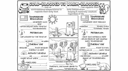 Cold-Blooded vs Warm-Blooded Doodle Notes & Quiz (PDF & GF) | Animal ...