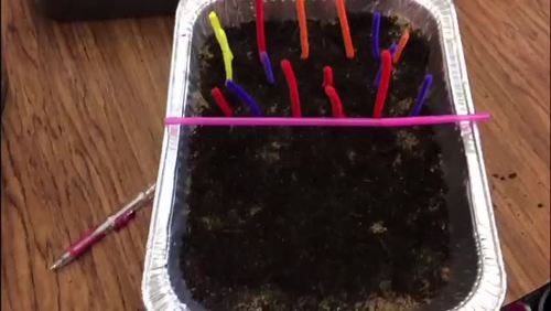 Dust in the Wind: A CER Wind Erosion Lab by Making the Grayd | TPT