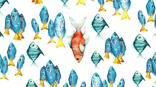 Counting By 7s Novel Study Engaging Pre-reading Activity: Video ...