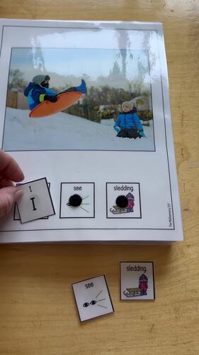 I SEE WINTER Core Word AAC Adapted Book Task Cards Worksheets Special ...