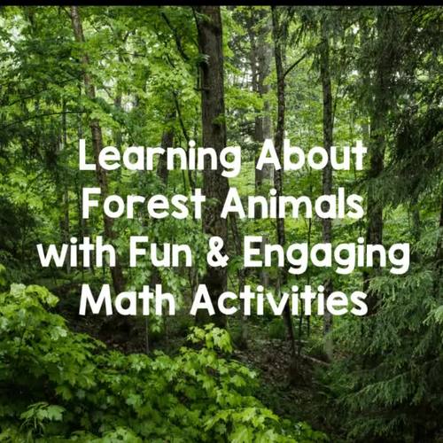 Forest Animals Math Activities for Preschool & PreK - Forest Math Centers