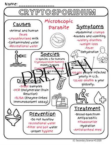 Cryptosporidium Doodle Notes | Health | FACS | Communicable Diseases