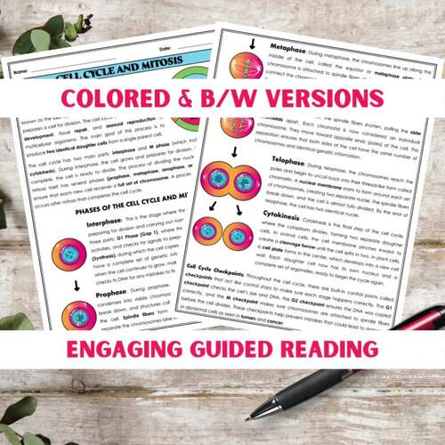 Cell Cycle and Mitosis Reading Comprehension Passage and Questions ...