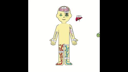 Human Body Organs Science Unit Project (Review, End of Unit, PBL)