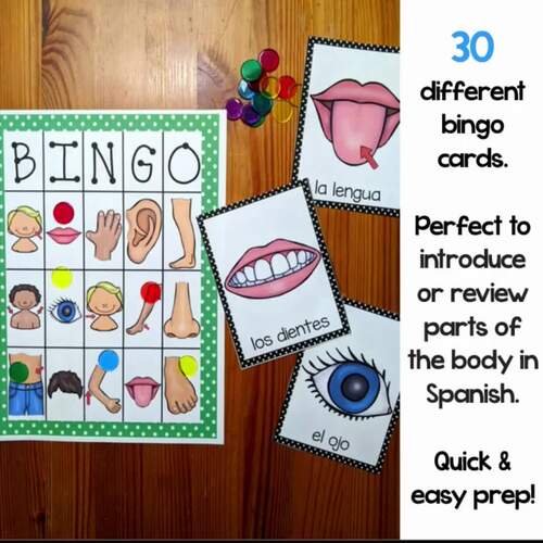Las partes del cuerpo - Body Parts Bingo in Spanish | El cuerpo | TPT