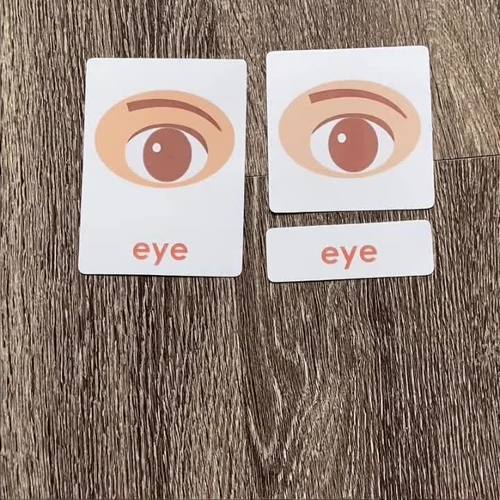 Body Parts Flashcards, Montessori 3 Part Cards, Babies and Toddlers