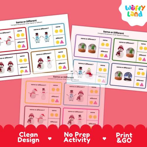 Winter Things Same or Different Cards | Visual Discrimination Task Cards