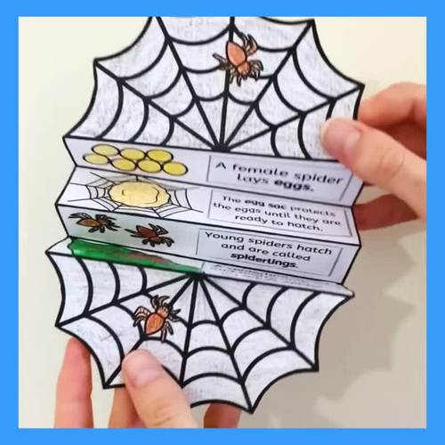 Halloween life cycle science foldable activities (pumpkin, spider, bat ...