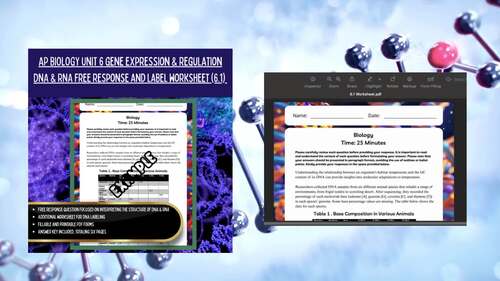 AP Biology UNIT 6 Gene Expression 6.1 DNA & RNA Labeling & FRQ Worksheet