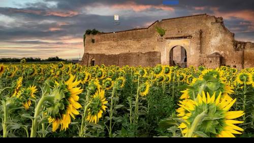 Measuring Segments FOLDABLE NOTES - Geometry Lesson 2 | TPT