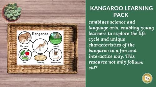 Kangaroo Life Cycle Parts of a Kangaroo Types Facts Montessori 3 Part Cards
