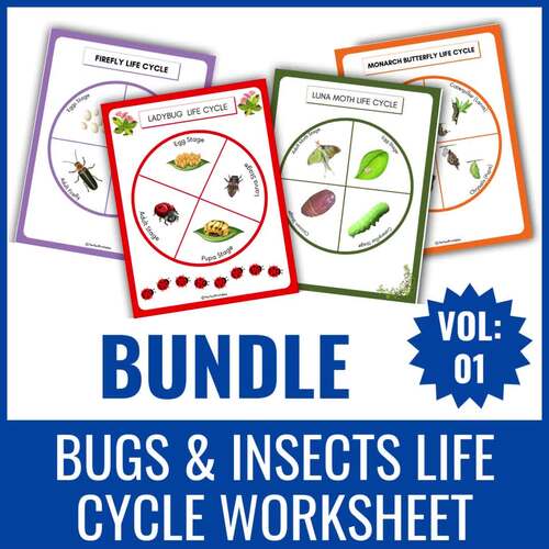 Bugs & Insects Life Cycle Bundle: Ladybug, Luna, Firefly, Monarch ...
