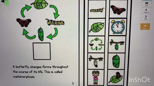 Life Cycle Of A Butterfly Adapted Book Boom Cards by Where I AUT-a Be