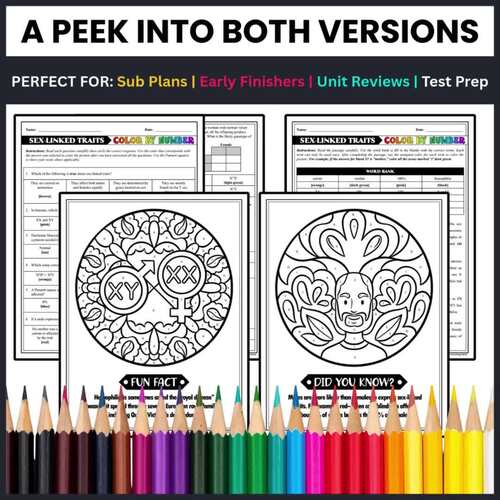 Sex-linked Traits Punnett Squares Practice Color by Number | Worksheet ...