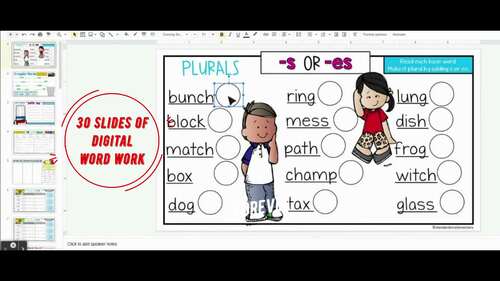 Phonics Foundations Level 3 Unit 2 Digital Word Work - Suffixes