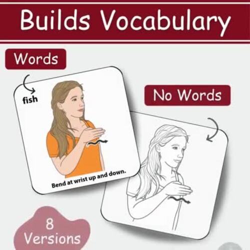 Animal Flashcards American Sign Language Visual Vocabulary Picture ...