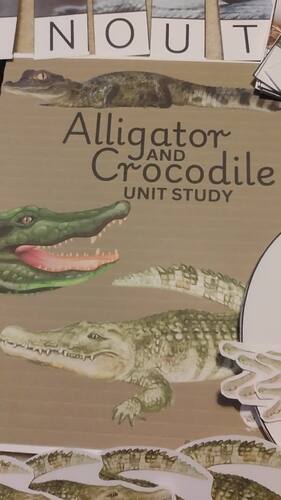 Crocodile Unit Study/Alligator Unit Study | 72 Page Homeschool Nature ...