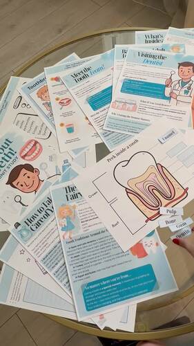 Teach kids all about their teeth, dental care, and tooth traditions