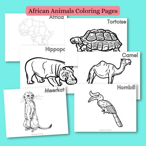 animals of the world coloring pages