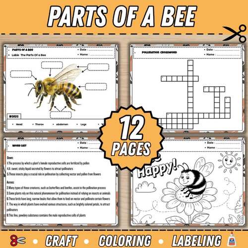Parts Of a Bee Activity and Labeling | Fine motor & Science| Spring ...