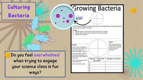 CULTURING / GROWING BACTERIA - 2 LESSONS - 2 PRACTICALS + RESOURCES + AFL
