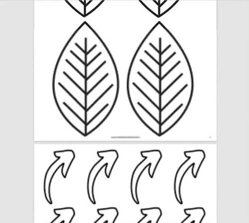 Kindergarten Life Science Mega Bundle: NGSS Interactive Activities