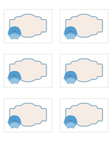 Editable Cute Bird Student Name Tags Labels Desks by Mary Momerwids