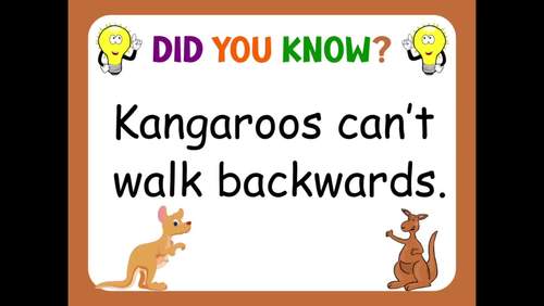 Did You Know ? Fun Animal facts With Google slides and printable Cards ...