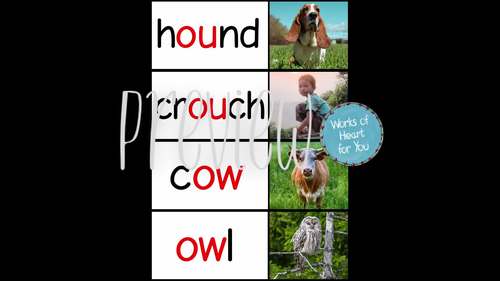 Variant Vowels - Vowel Teams 'ou' and 'ow' - Worksheets and activities