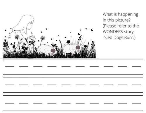 Sled Dogs Run RL 2.7 Worksheets by Owl Be in the Classroom | TPT