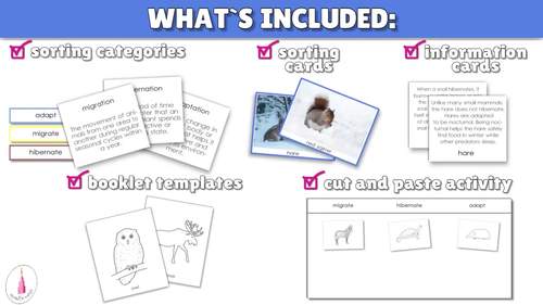Animals in Winter Hibernate, Migrate, Adapt Activity | Montessori