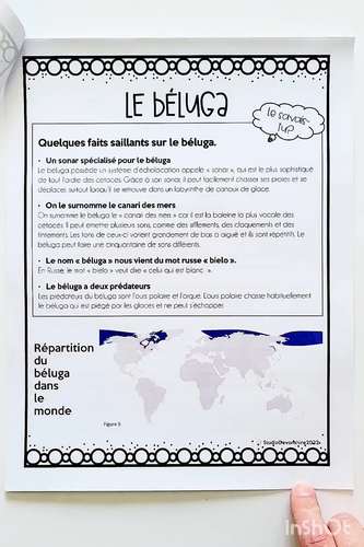 Arctic Animals Series: French Nonfiction Reading Comprehension Set - Le ...