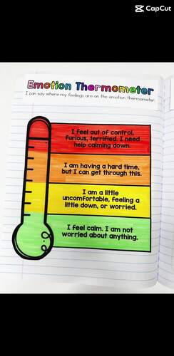 Social Emotional Skills Interactive Notebook by The Social Emotional ...