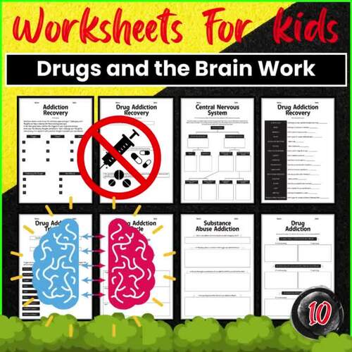 Drugs and the Brain Worksheet by Lib Anatomy school | TPT