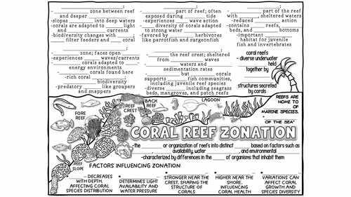 Coral Reef Zonation Doodle Notes & Quizzes (PDF and Google Form)