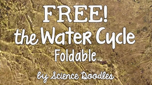 Doodles Notes - Water Cycle Freebie! by Science and Math Doodles