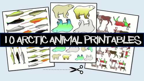 10 ARCTIC MAMMALS PRINTABLE CUT-OUTS: Original art, coloring pages ...