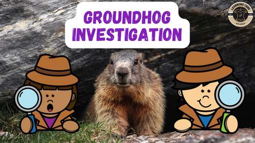 Groundhog Day Investigation Activities - No Prep PreK Kindergarten ...