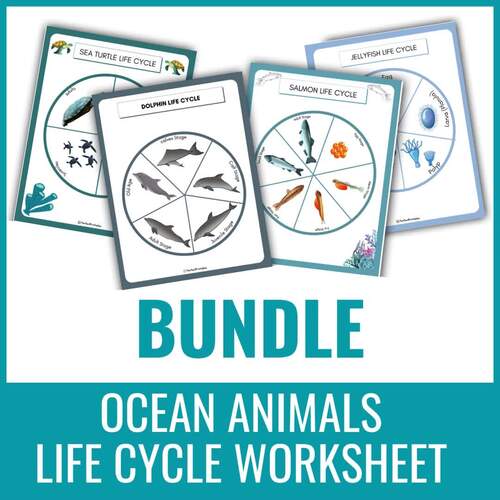 Ocean Animals Life Cycle Bundle-Sea Turtle, Salmon, Octopus, Jellyfish ...